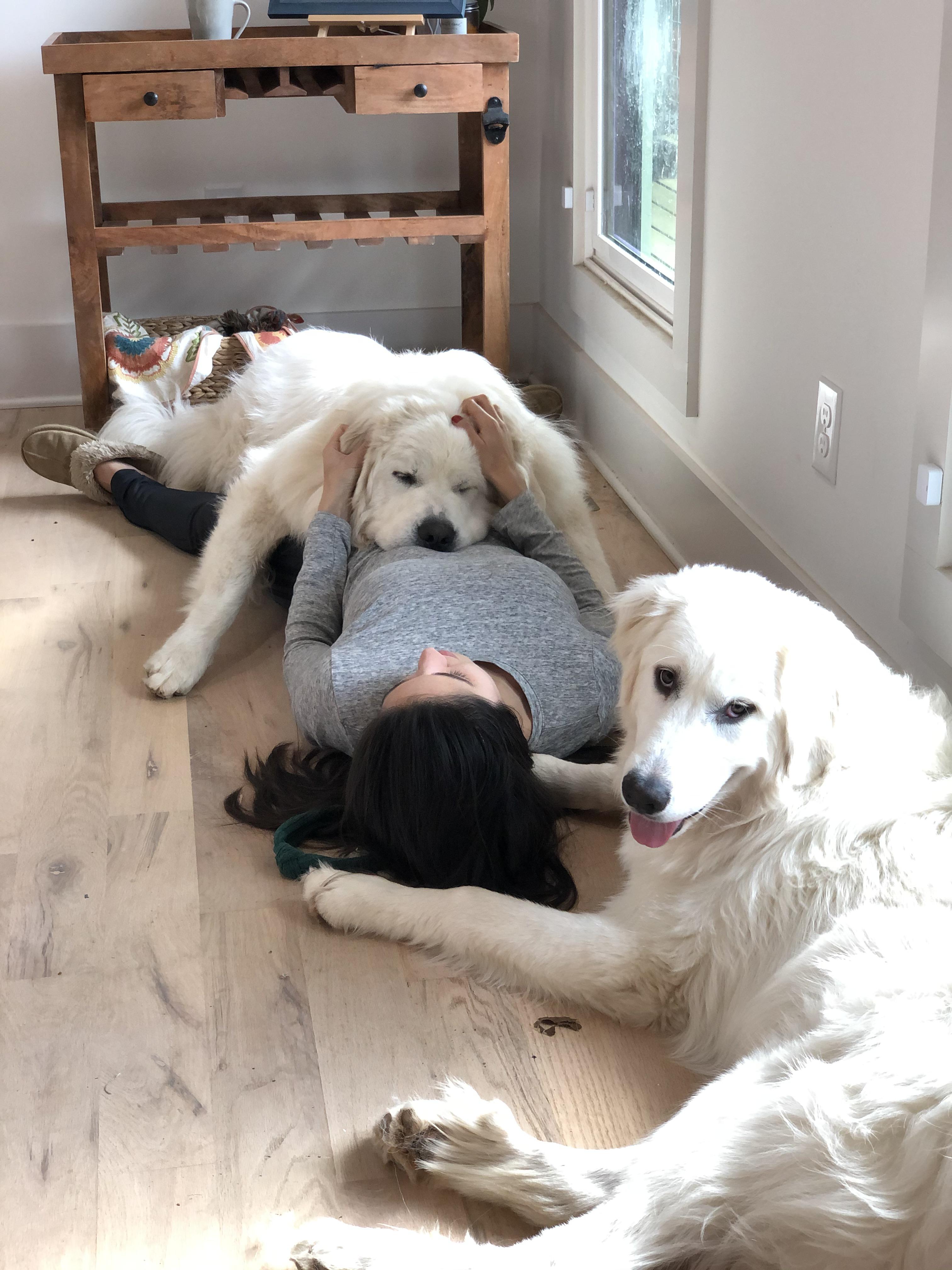 The boys hogging the wife during the great quarantine. | Scrolller