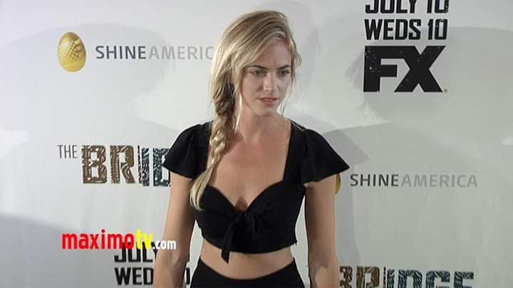 The Bridge premiere | Scrolller