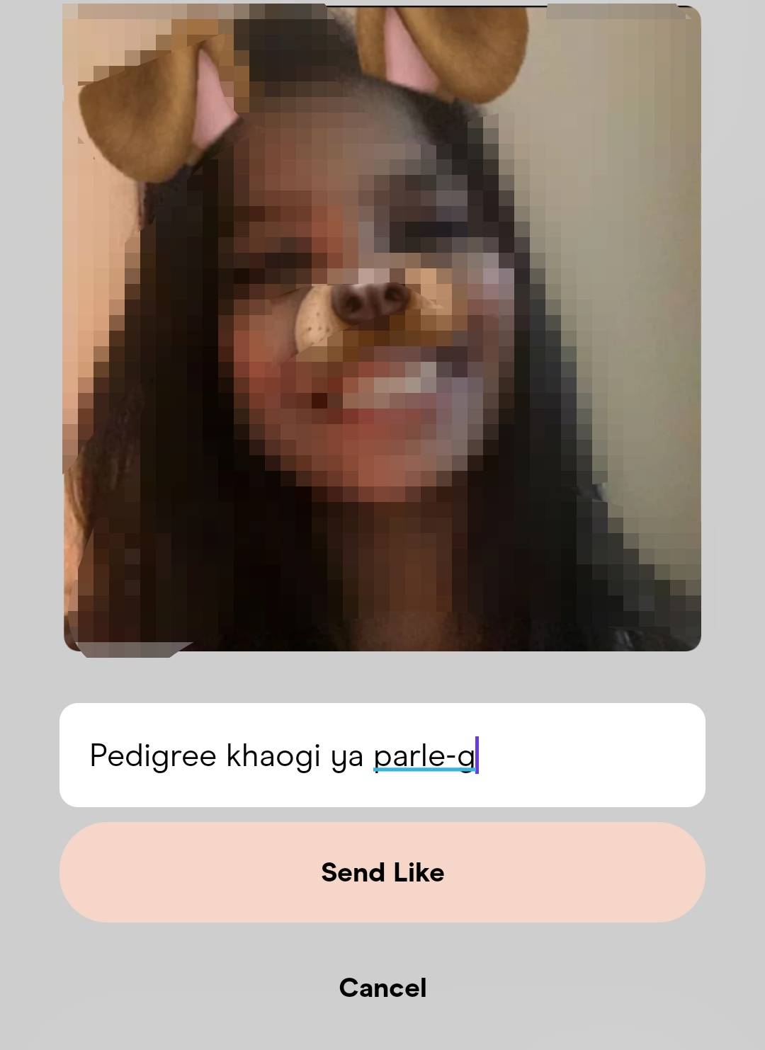 The classic dog filter.. | Scrolller
