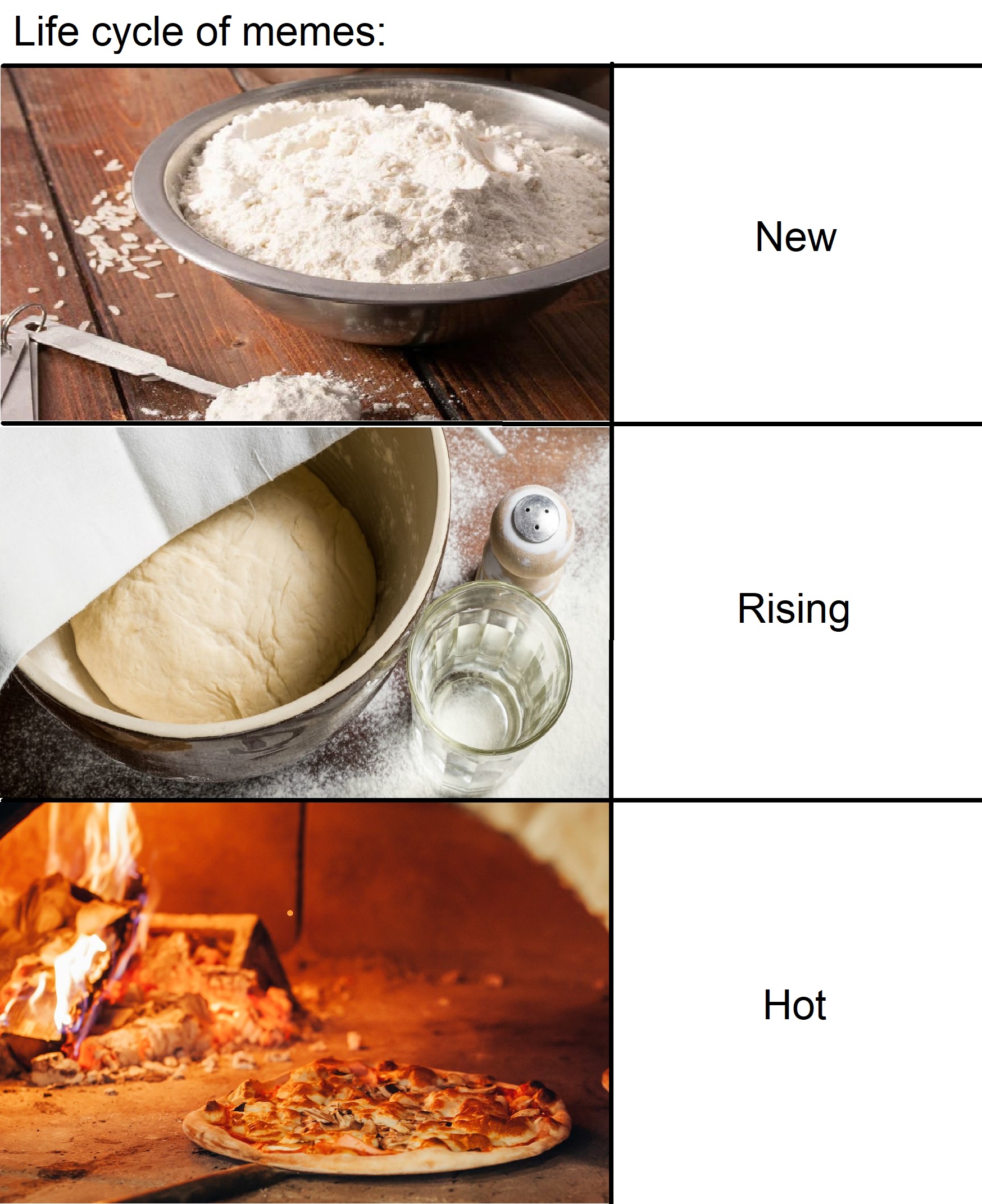 The cycle of memes continues | Scrolller