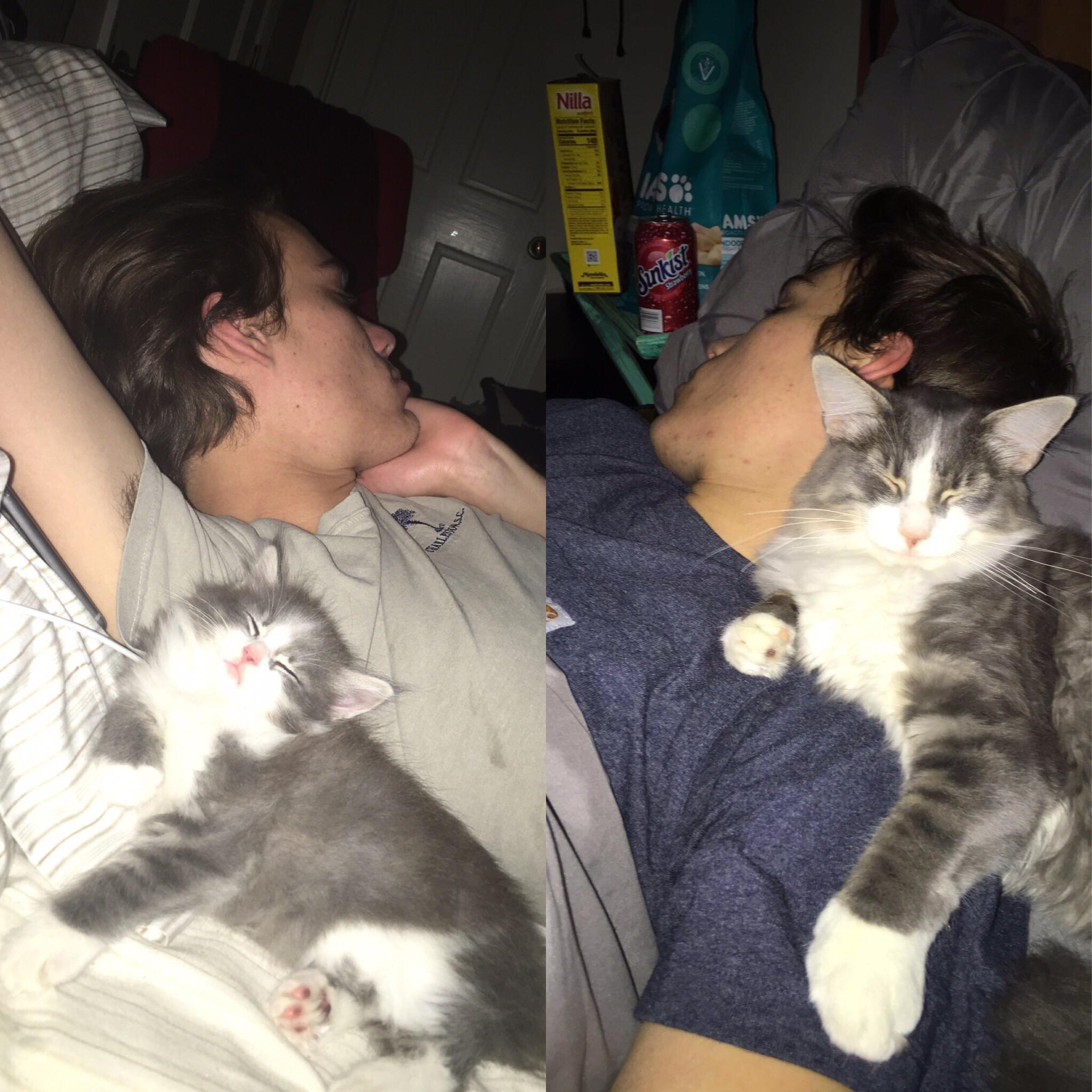 The difference 6 months makes | Scrolller