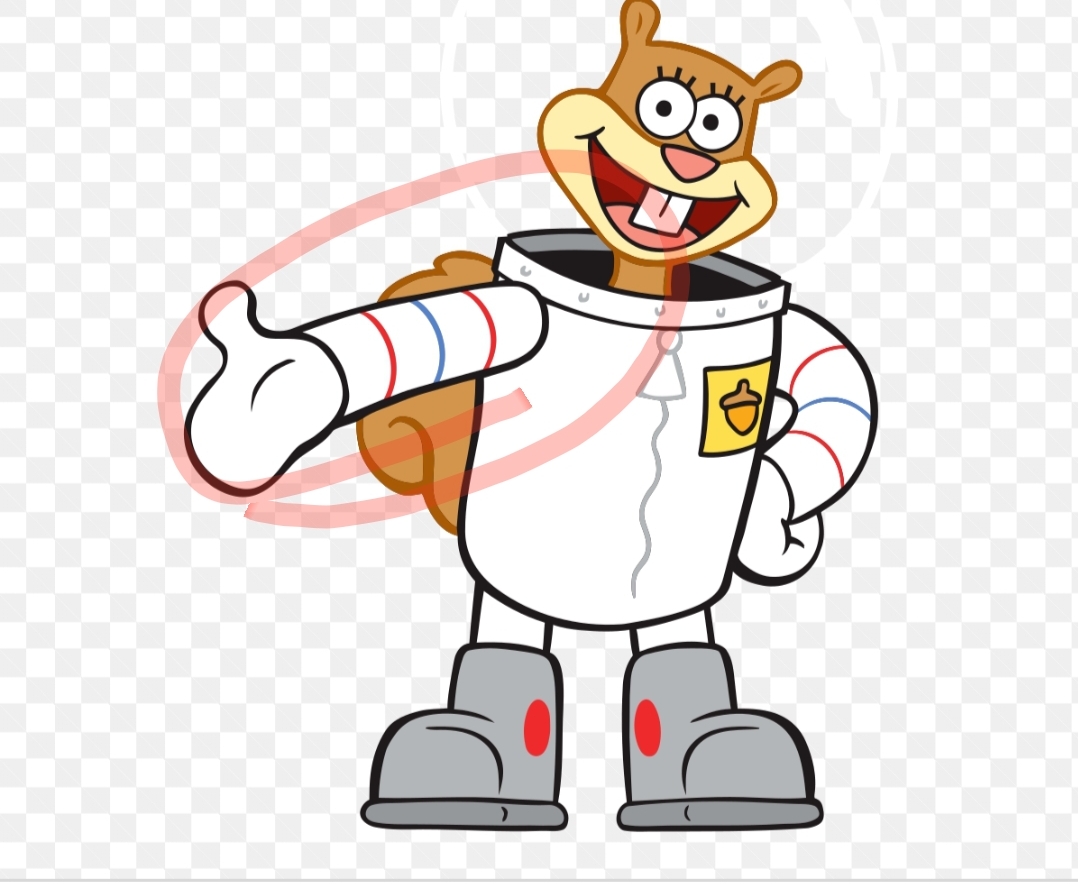 The Earhart award is really the sandy checks award | Scrolller