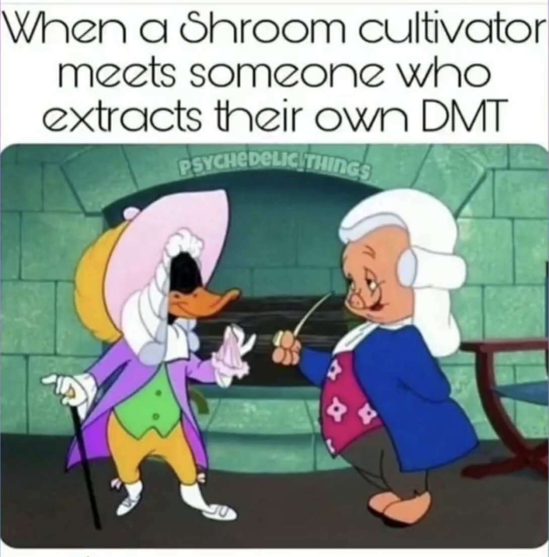 The elite | Scrolller