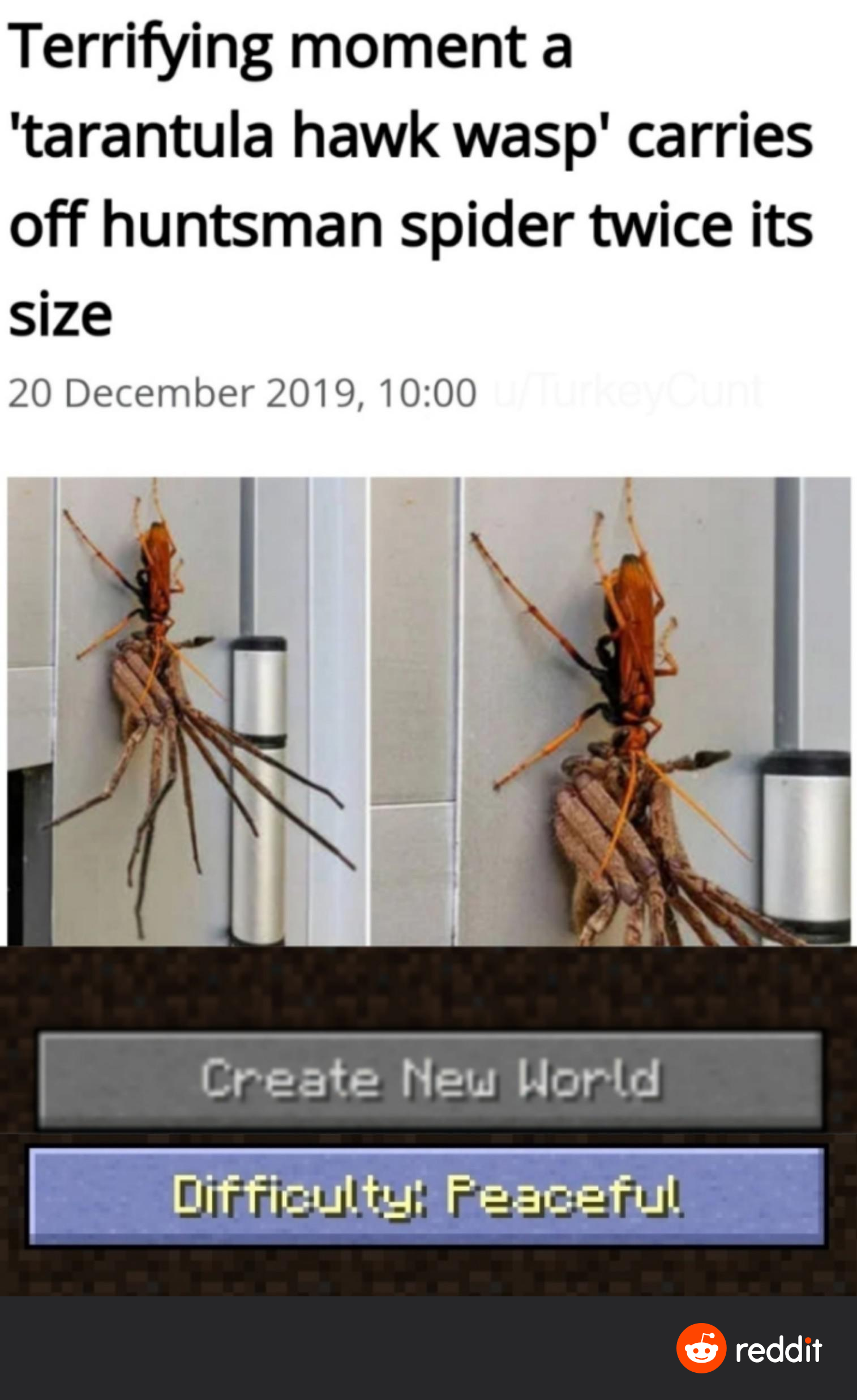 The end is near.... Wheres s-rank hunter? | Scrolller