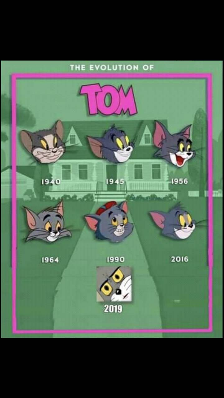 The evolution of tom 😂 | Scrolller