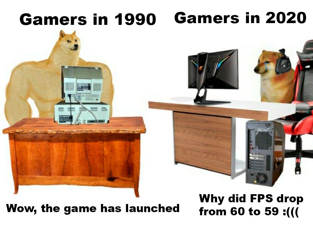 The evolution of true gamers | Scrolller