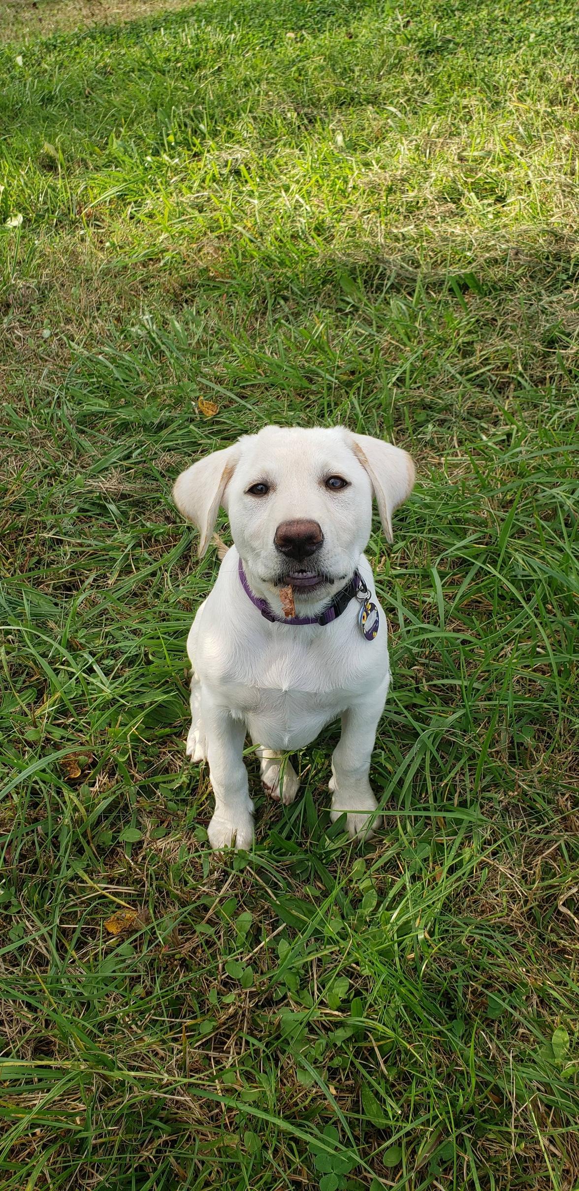 The face Mayella makes when she finds a particularly good leaf. | Scrolller
