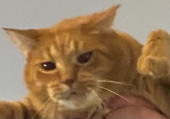 The face of pure disappointment | Scrolller