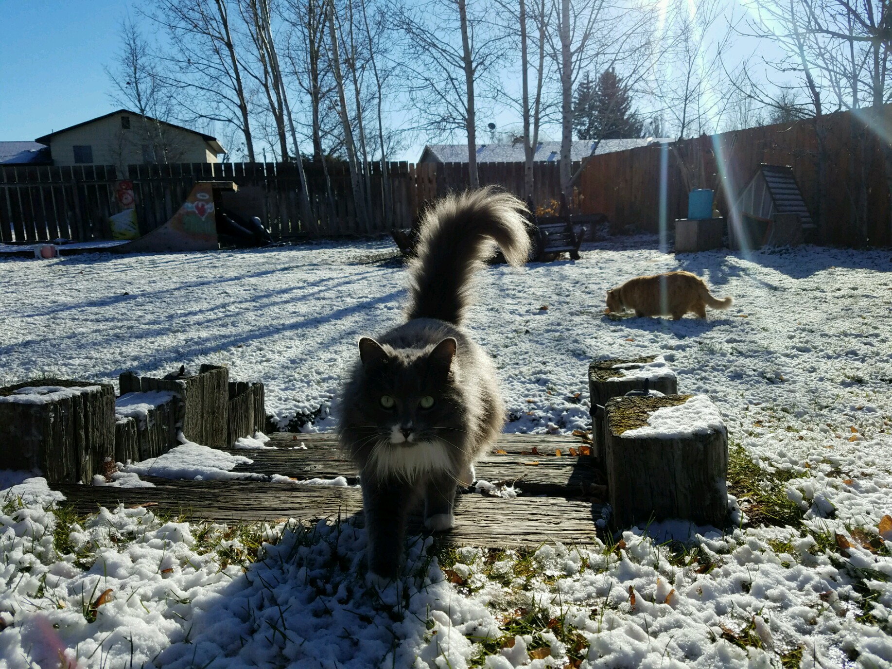 The first snow of winter. | Scrolller