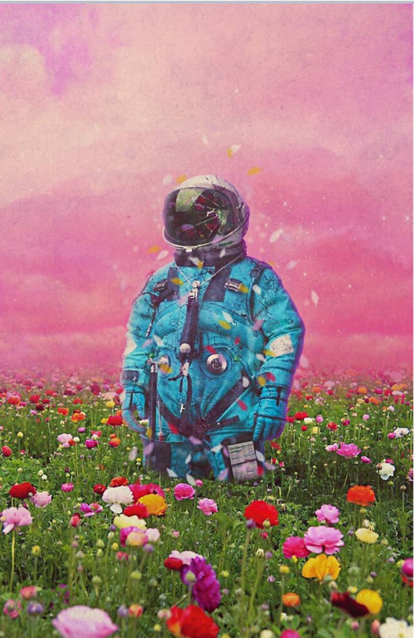 The Flower Field - Seemless | Scrolller