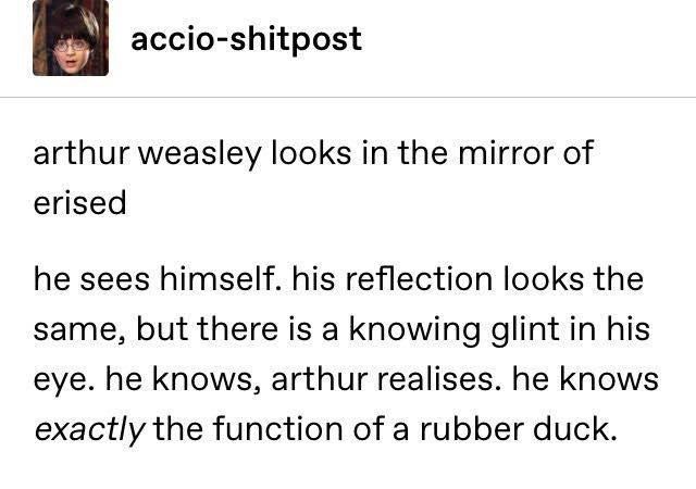 The function of a rubber duck | Scrolller