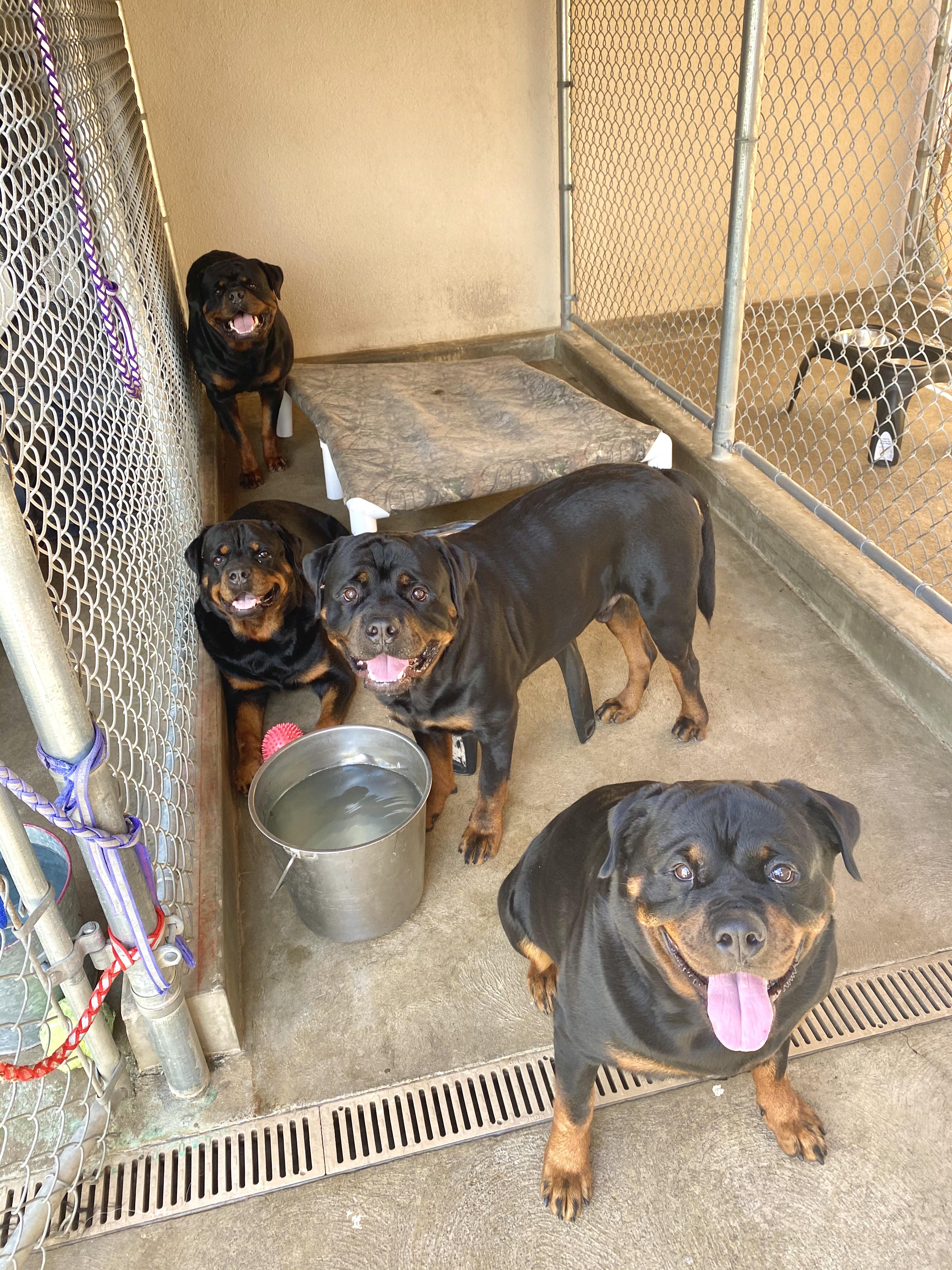 the gangs all here | Scrolller