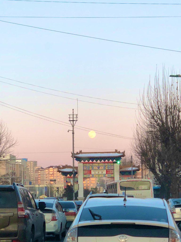 the Gate | Scrolller