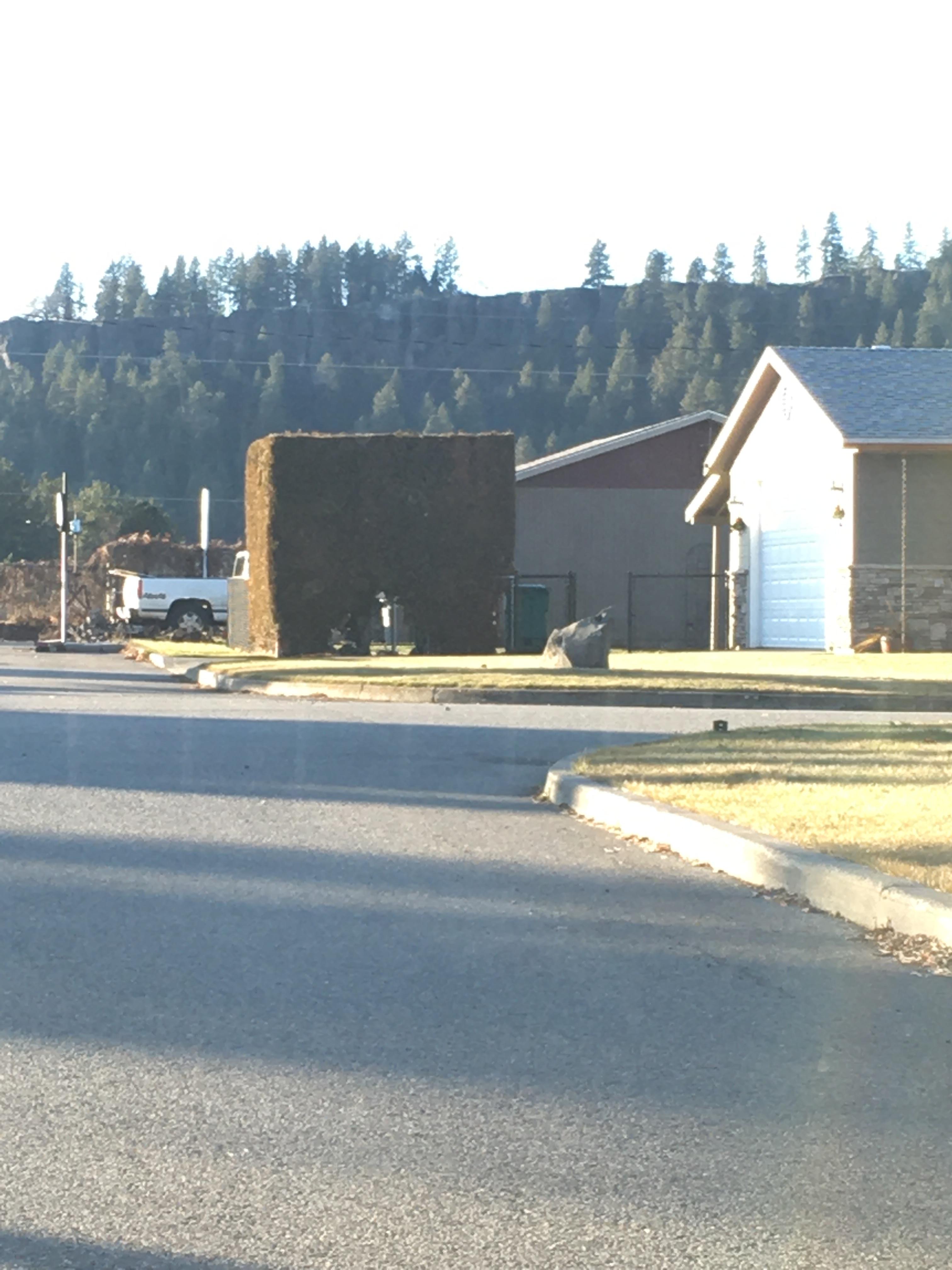 The Giant Hedge Cube.... First Outing... Intention TRUTH/KNOWLEDGE... | Scrolller