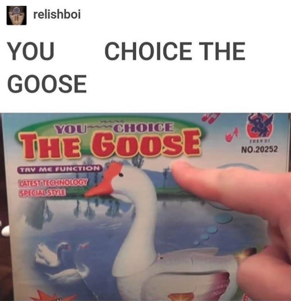 The goose! | Scrolller