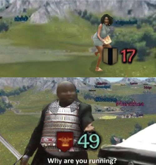 The grand Bannerlord experience | Scrolller