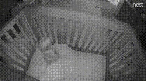 The Great Escape. | Scrolller