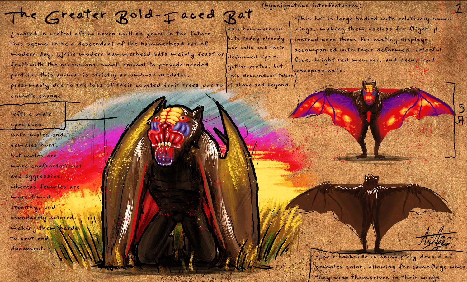 The Greater Bold-Faced Bat | Scrolller