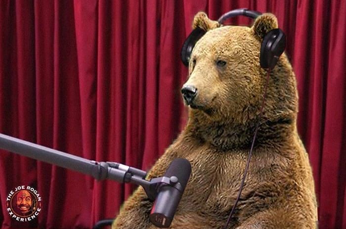 The guest we've all been waiting for | Scrolller