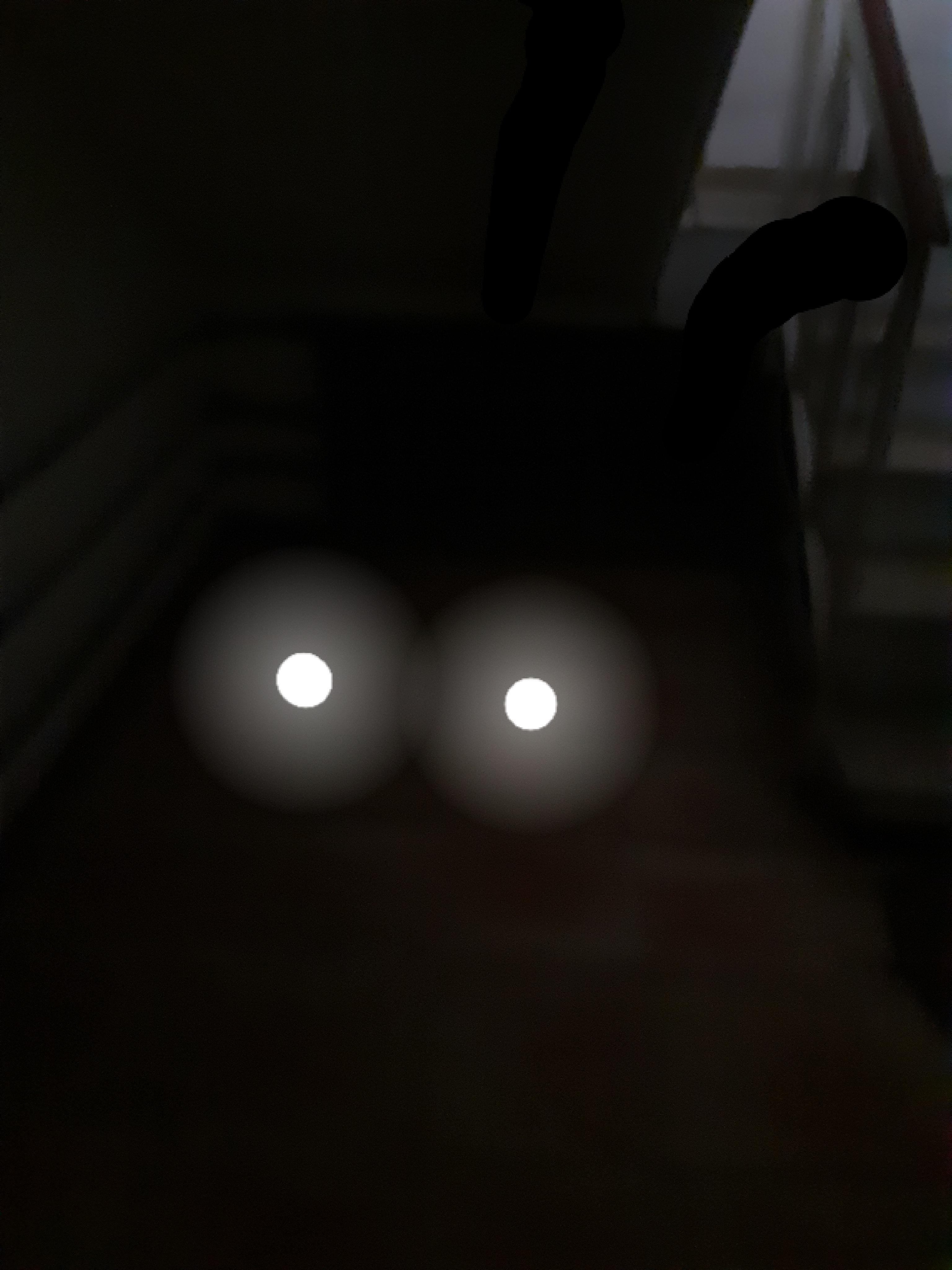 The hidden predator | Scrolller