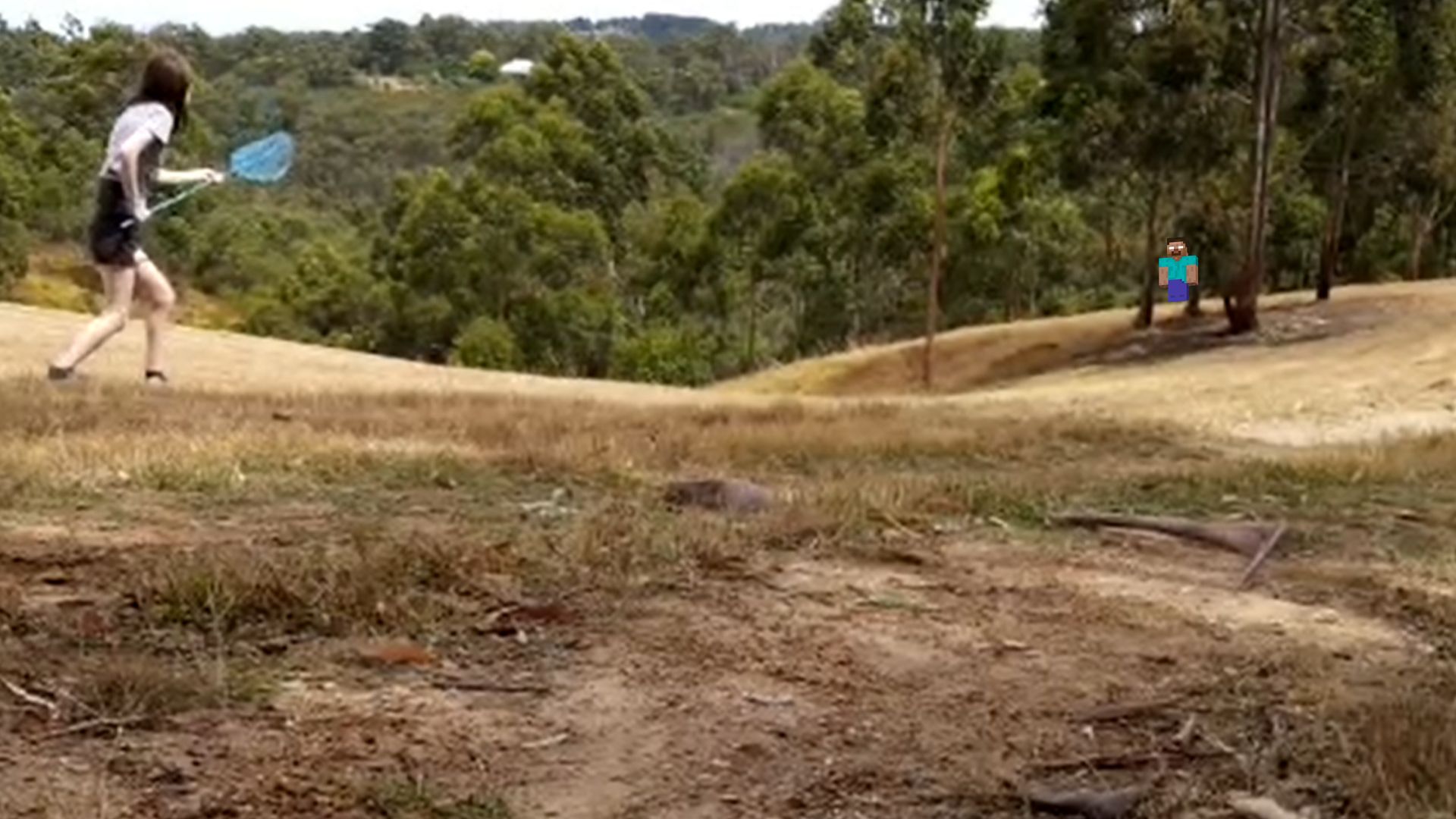 The Hunt... | Scrolller