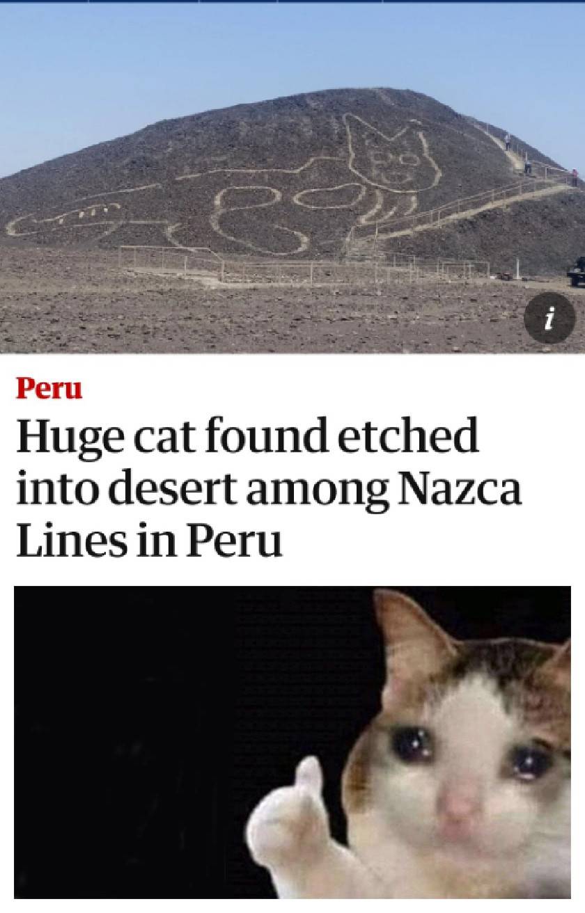 The internet is pleased | Scrolller