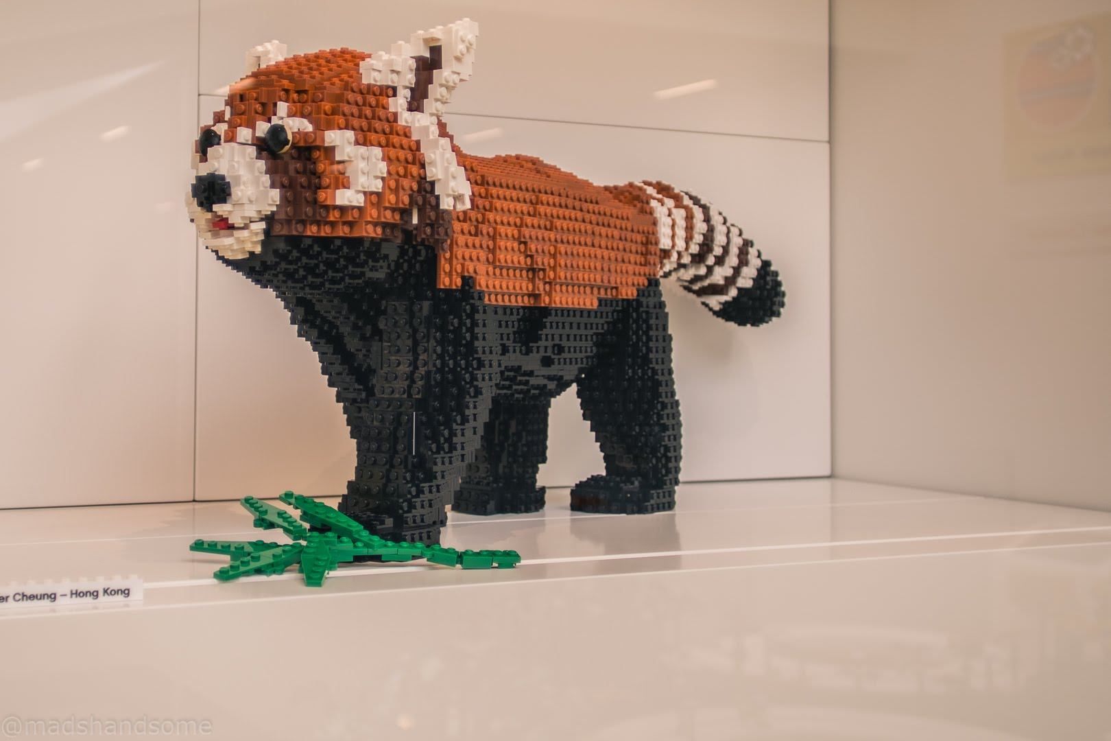 The LEGO Edition | Scrolller