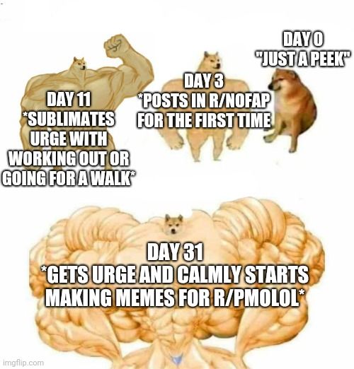 The life of a nofap doggo | Scrolller