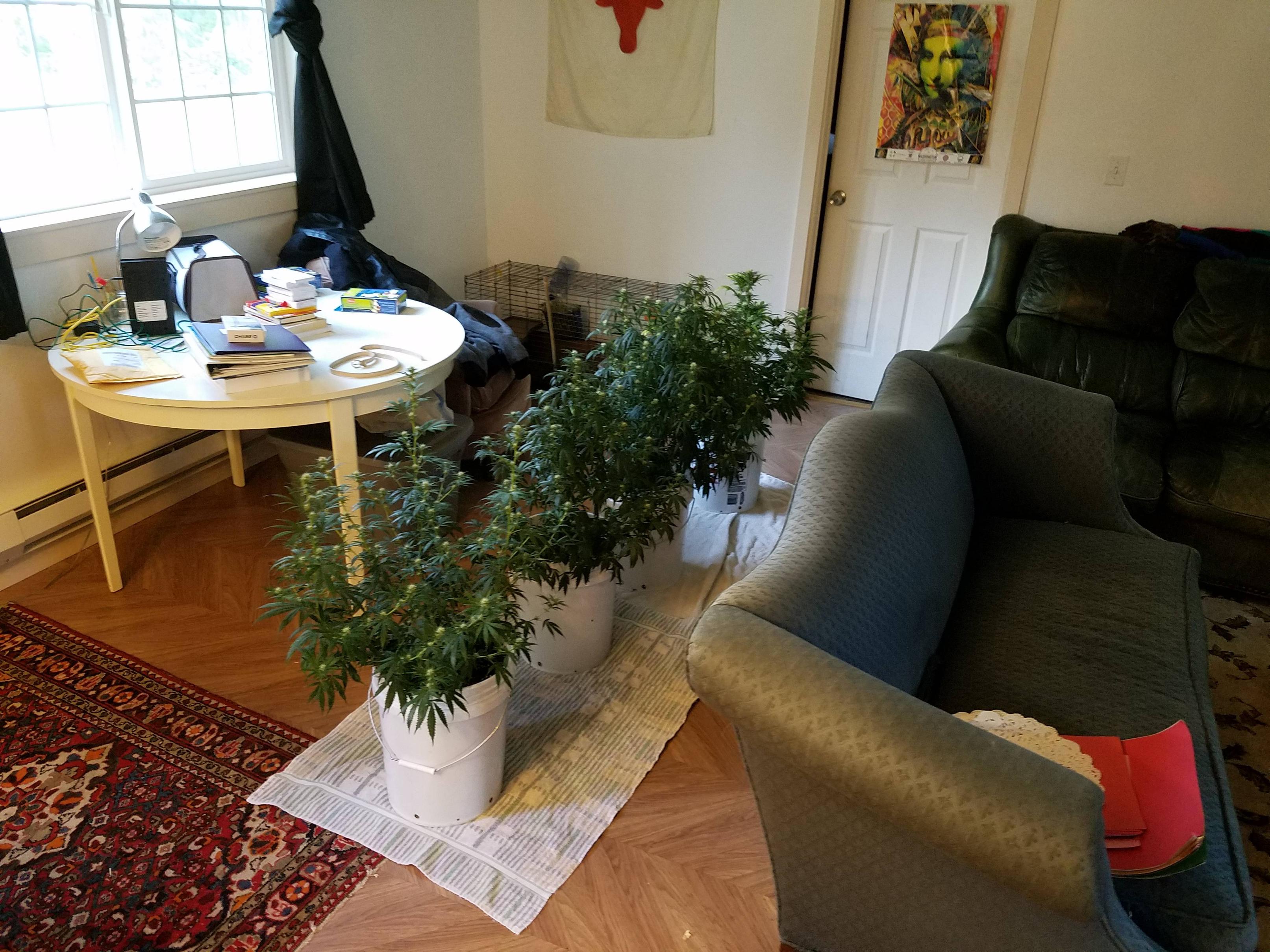 The line up!!! | Scrolller