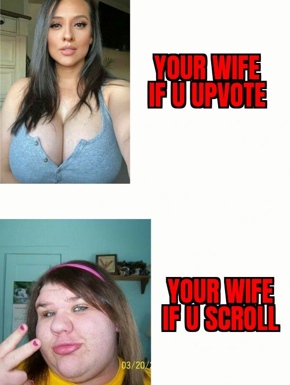 The literal definition of this sub | Scrolller