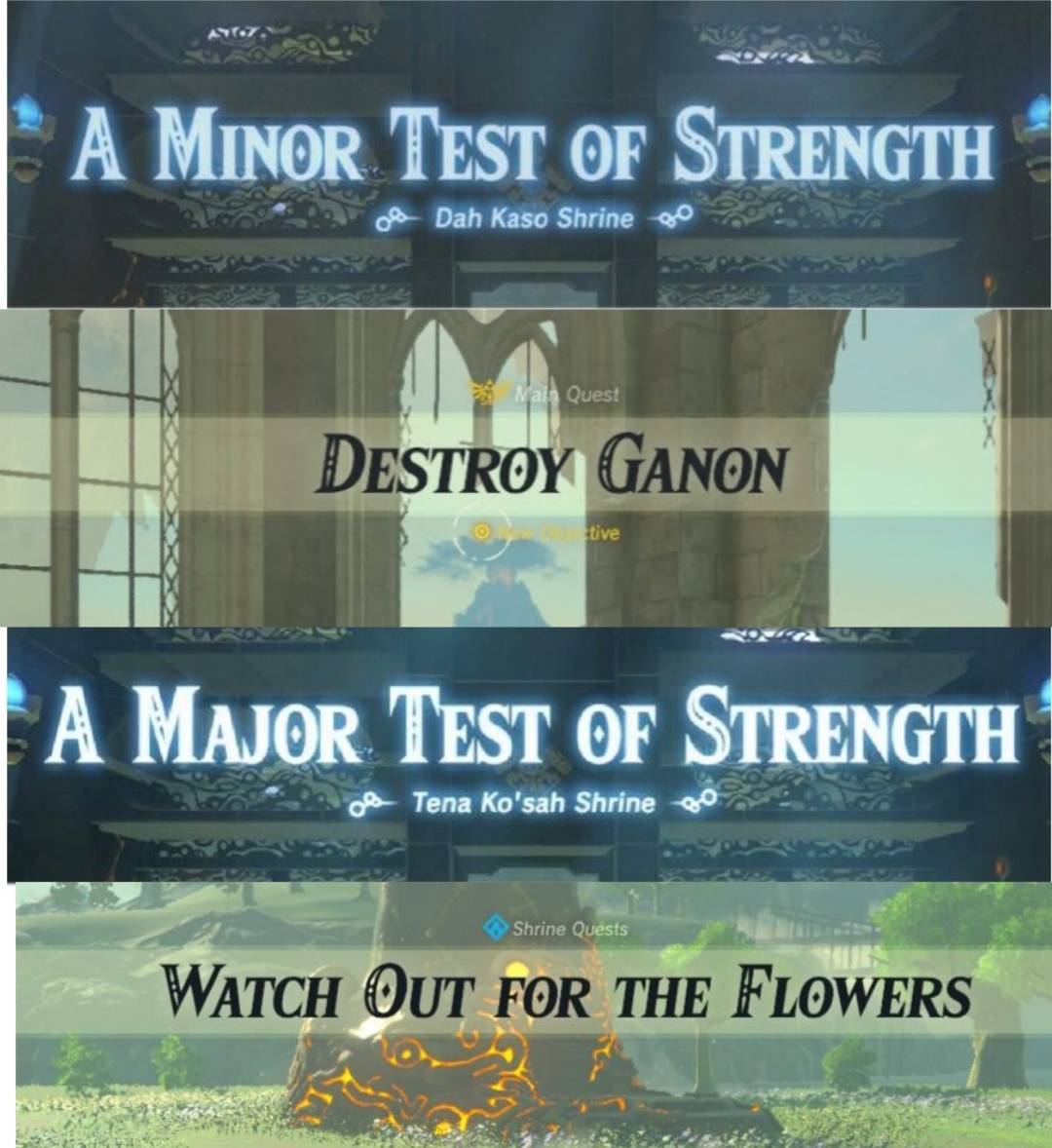 The Main Quest Impa didn't tell you about | Scrolller