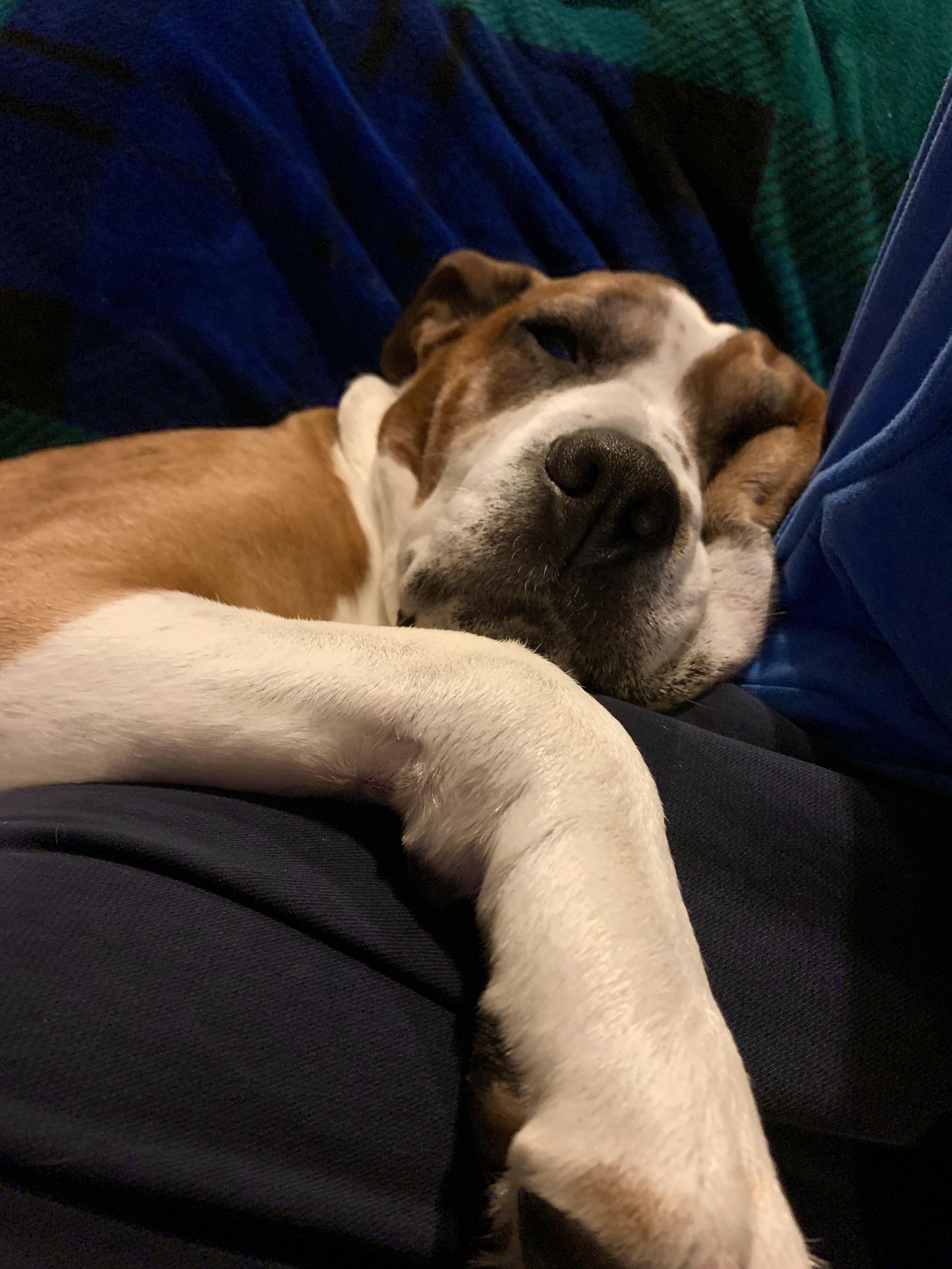 The “Mom I want to go to bed” squishy boy look | Scrolller