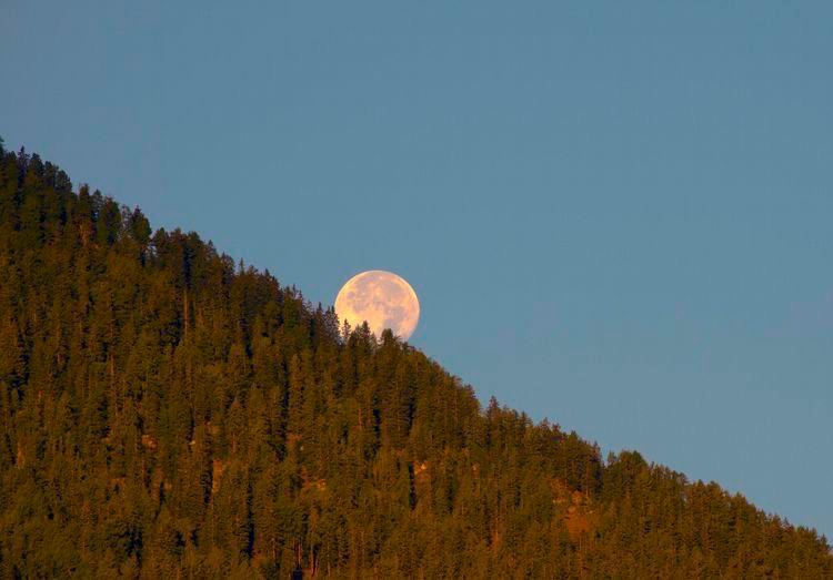 The moon...? | Scrolller