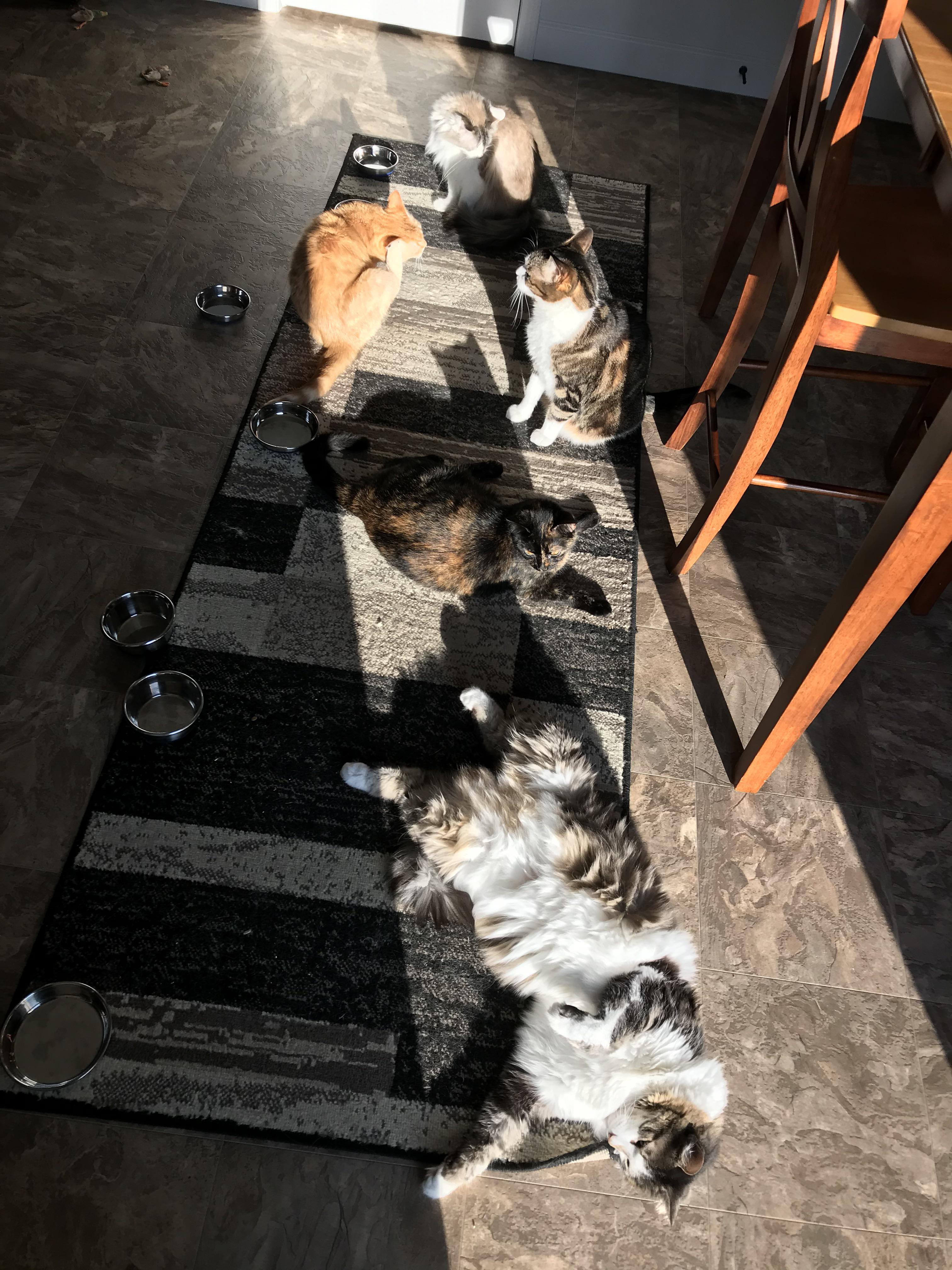 The most diaphanous of traps | Scrolller