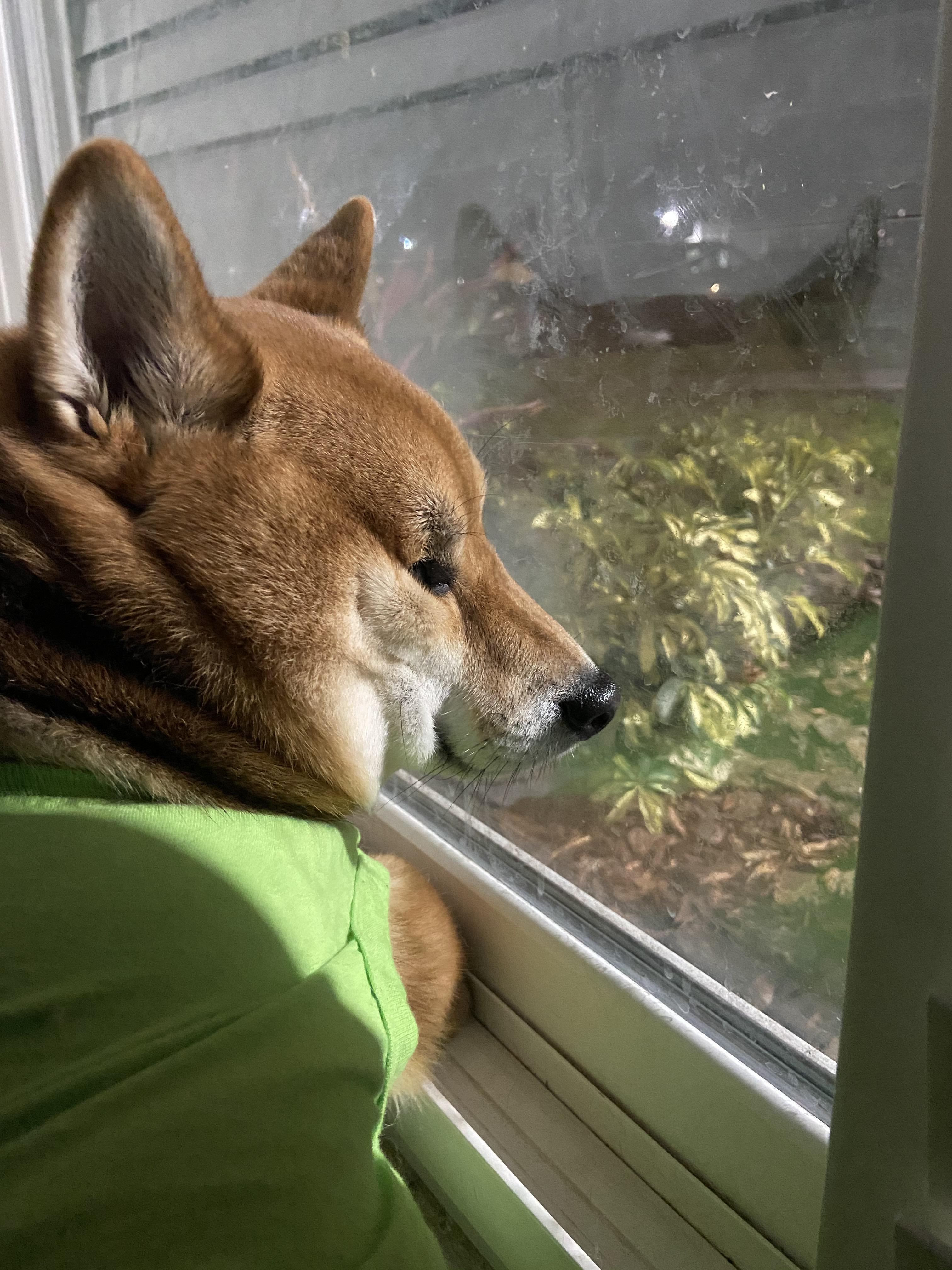 The most flattering angle | Scrolller