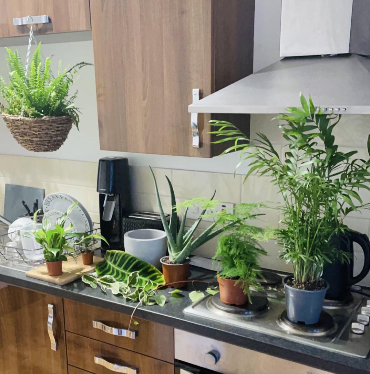 The new children | Scrolller