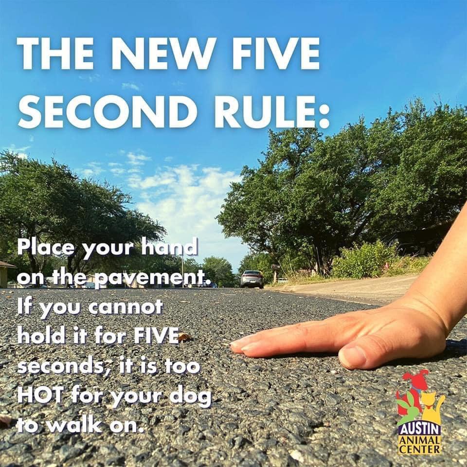 The new five second rule | Scrolller