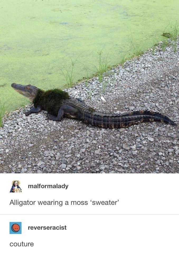 The new hot mode | Scrolller