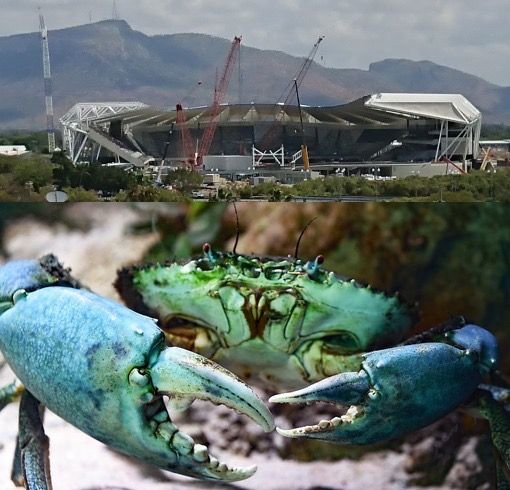 The new stadium is taking shape | Scrolller