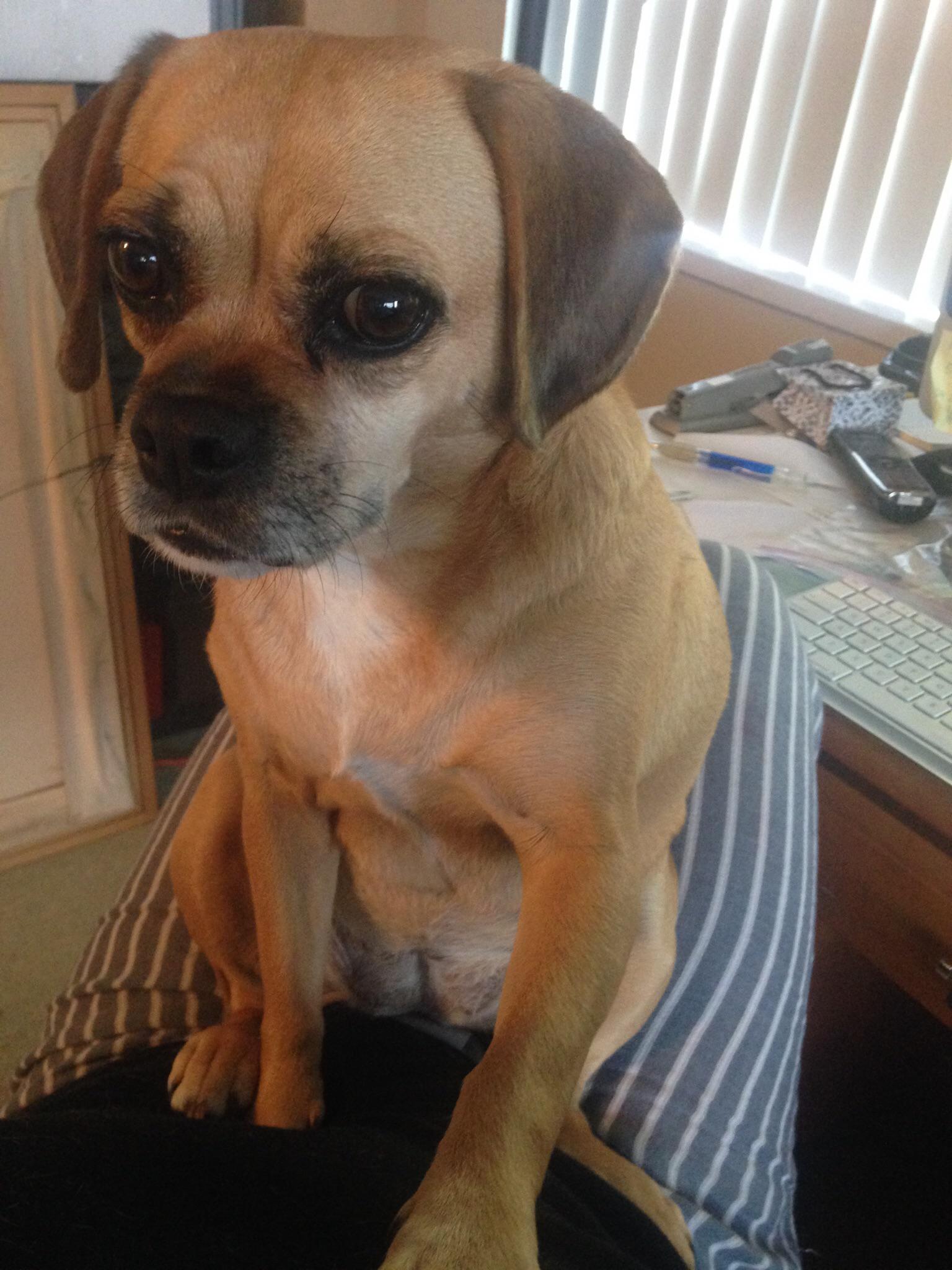 The next second, she sneezed into my open mouth | Scrolller