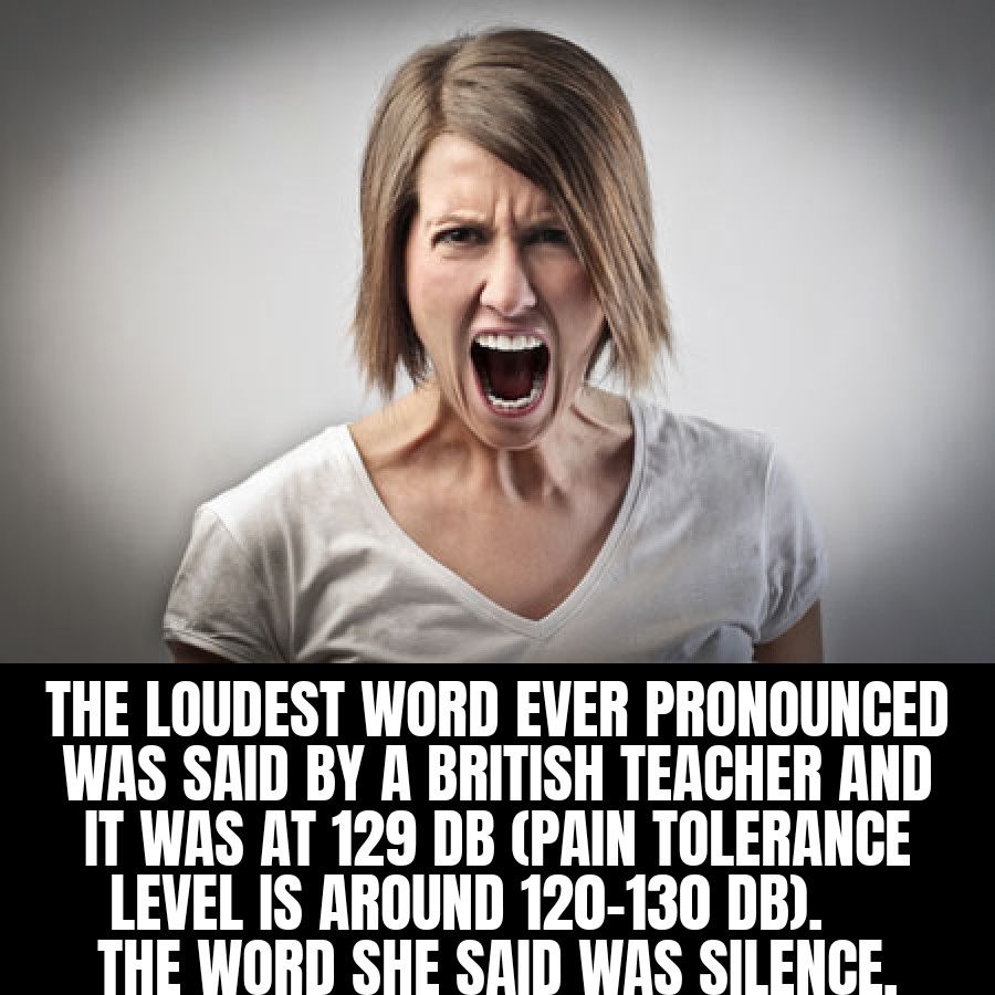 The noise of the Silence | Scrolller