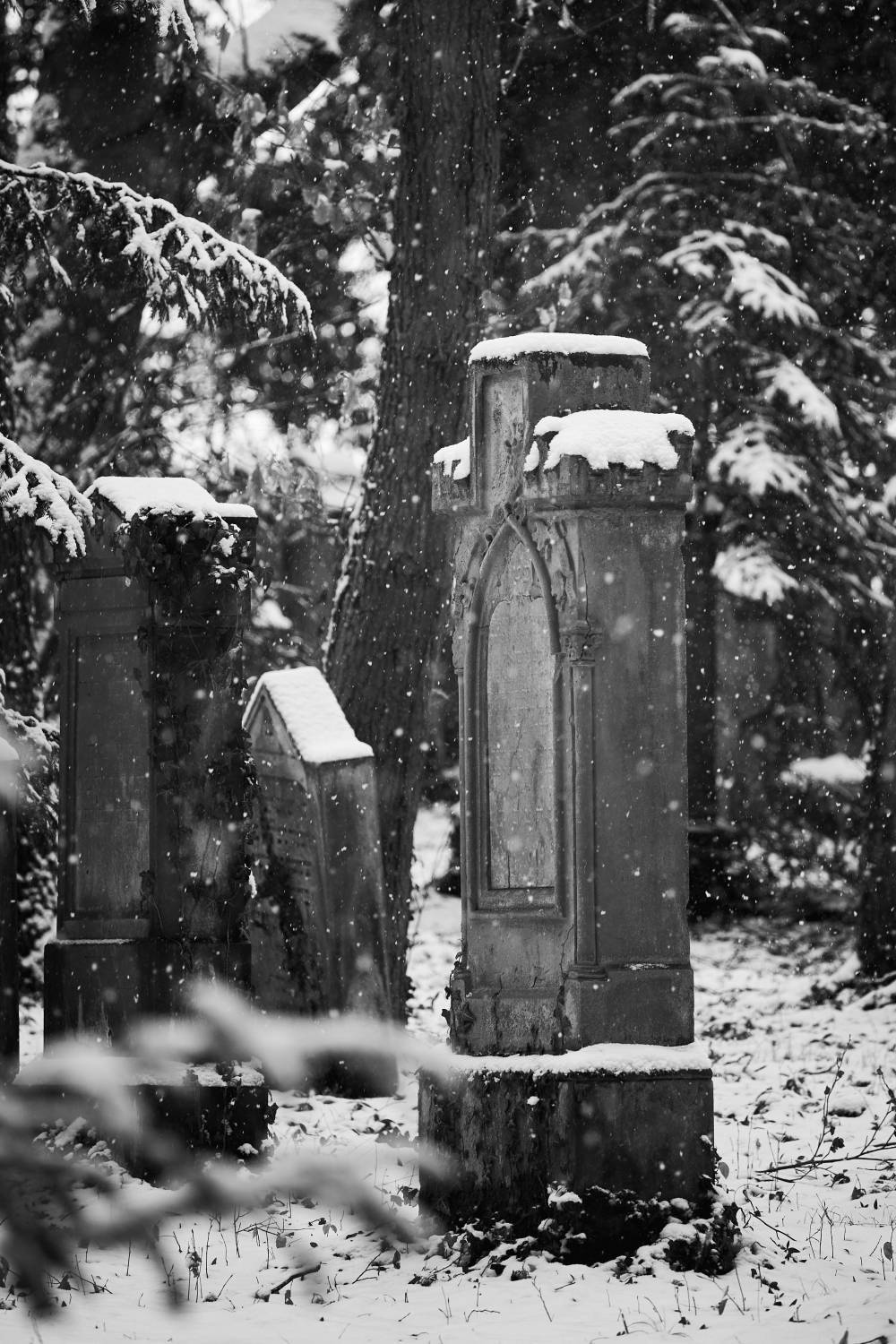 The old graveyard [OC] | Scrolller