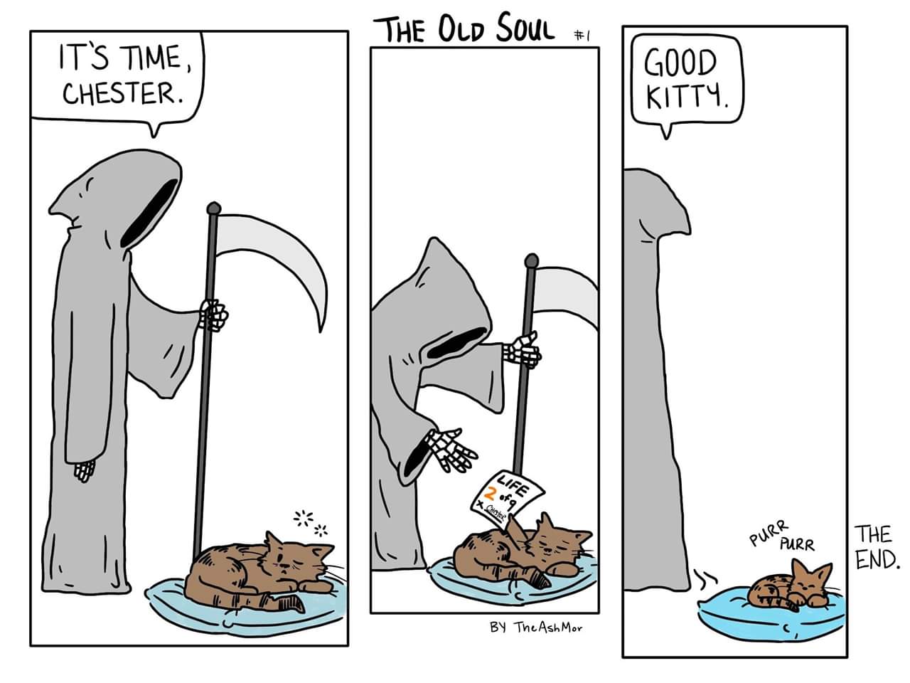 The Old Soul | Scrolller