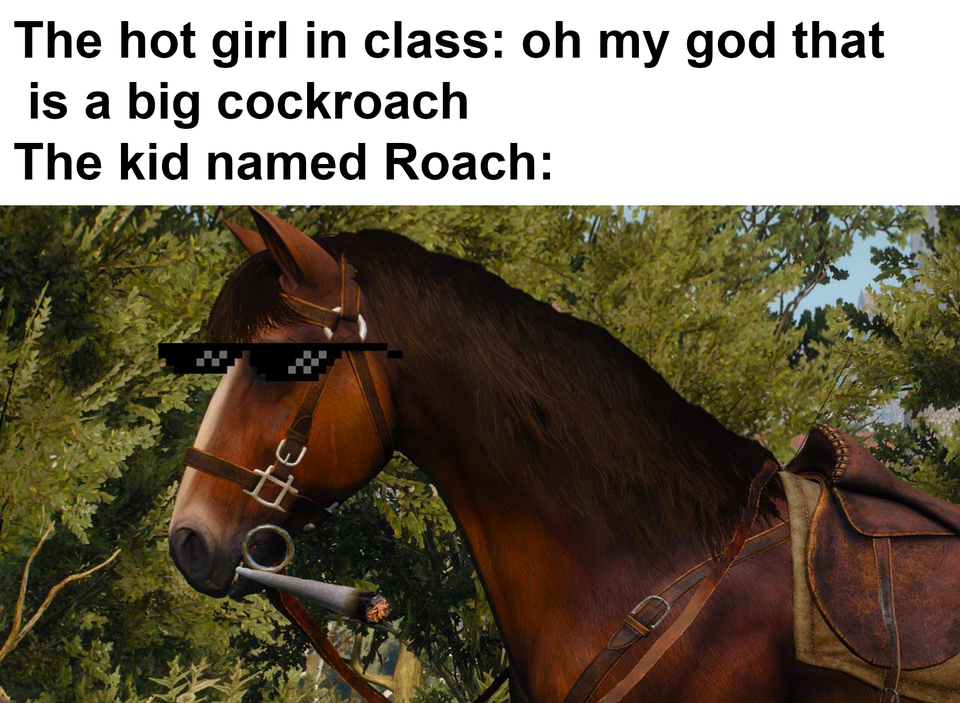 The only correct version of this meme | Scrolller