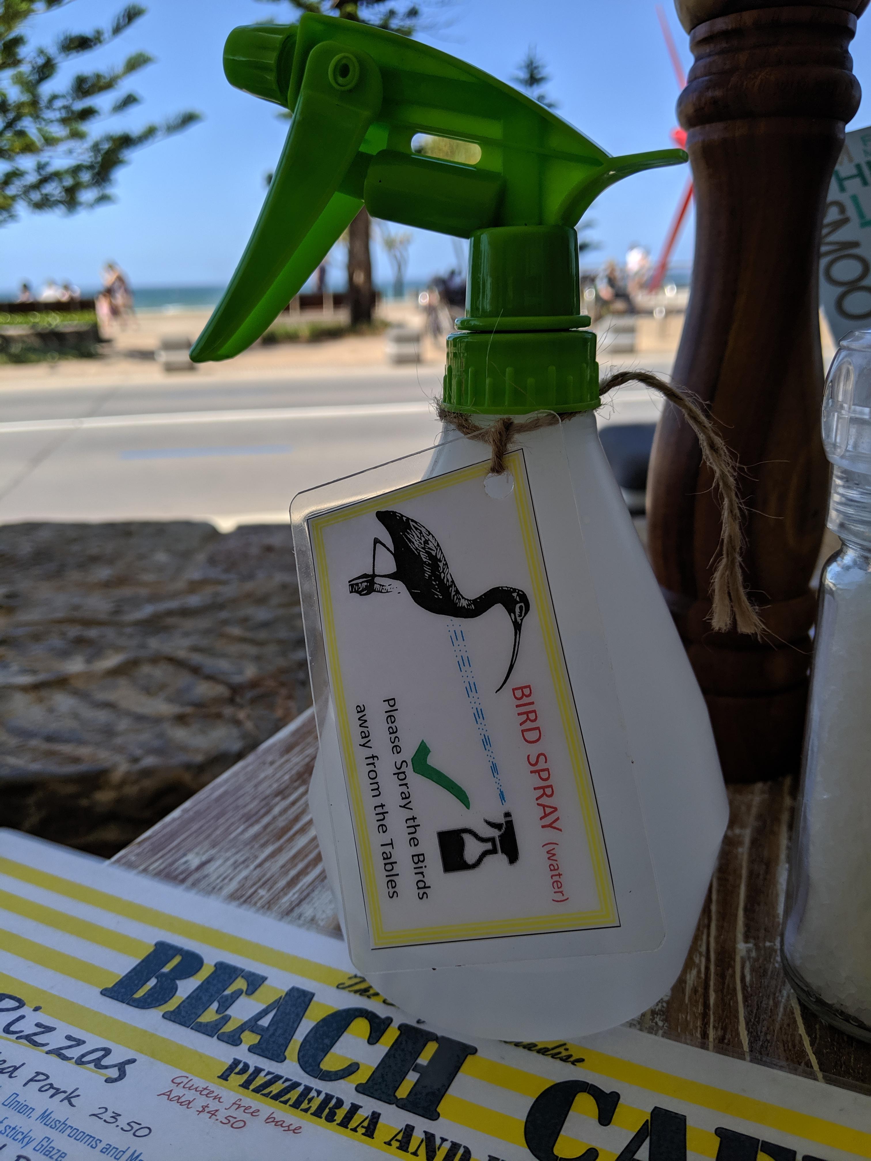 The only solution | Scrolller