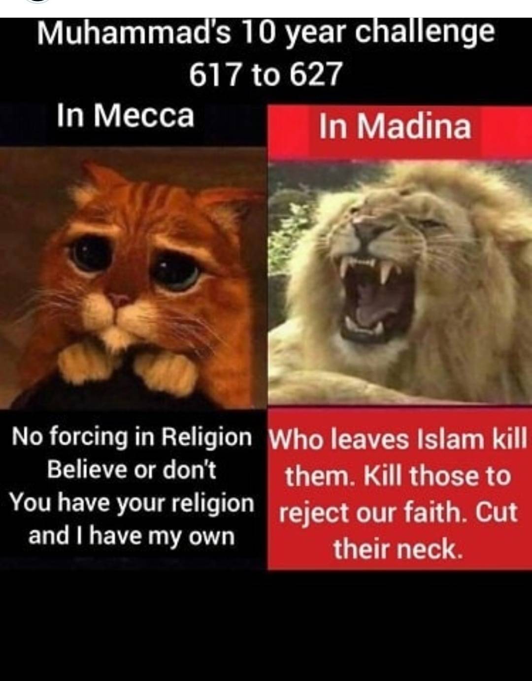 The peaceful spread of islam | Scrolller