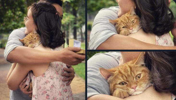 The perfect proposal | Scrolller