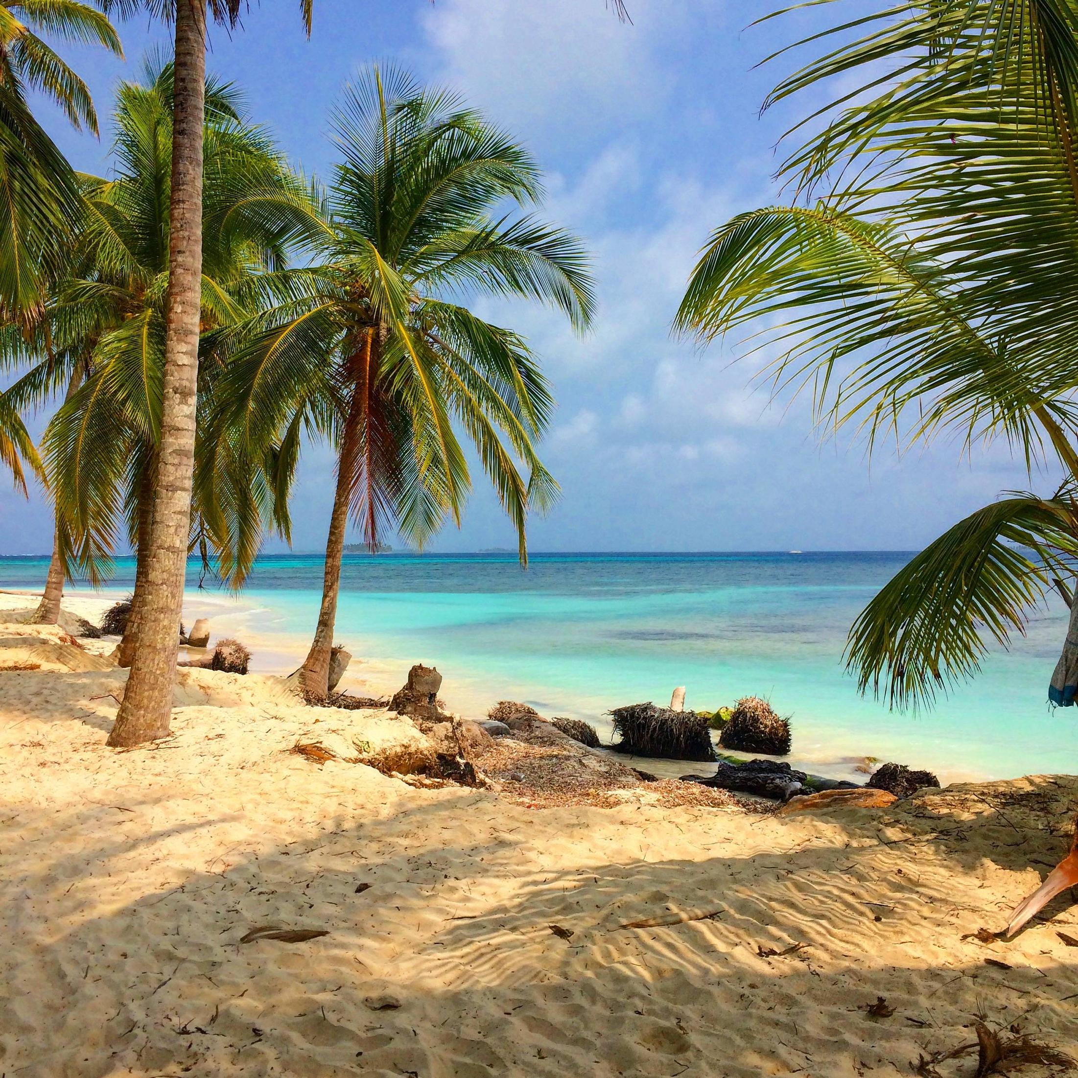 The perfect spot for buried treasure. | Scrolller