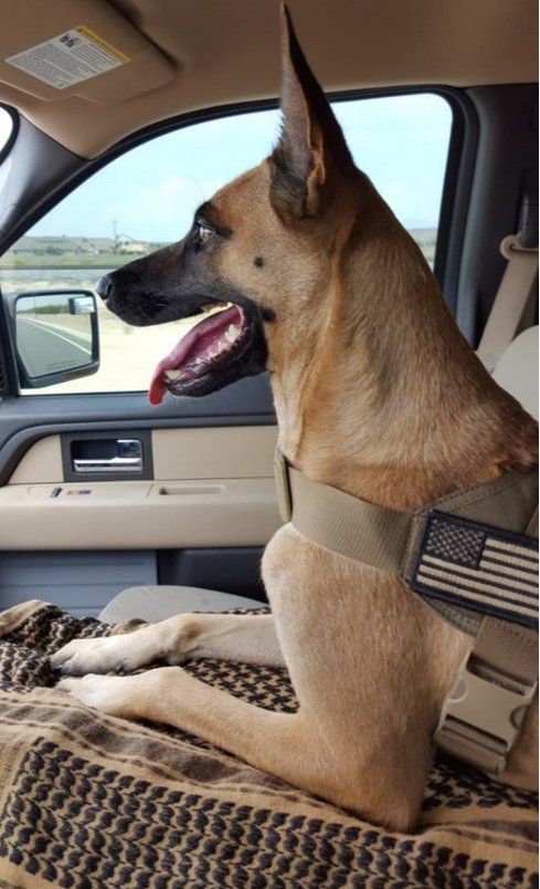 "The Pipe Bomb" Piper | Scrolller