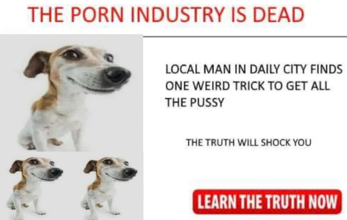 The Porn Industry Hates Him Scrolller